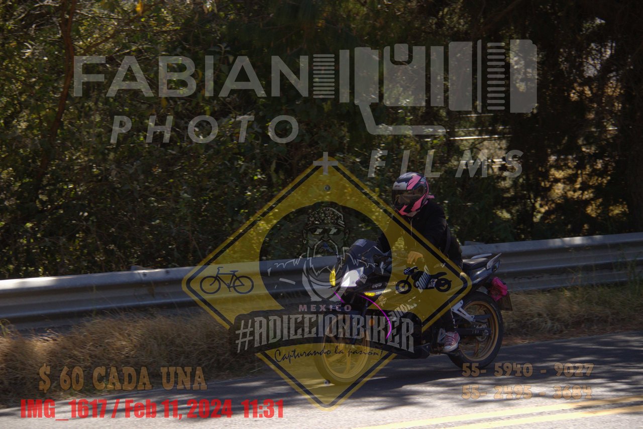 IMG 1617 — Postimages