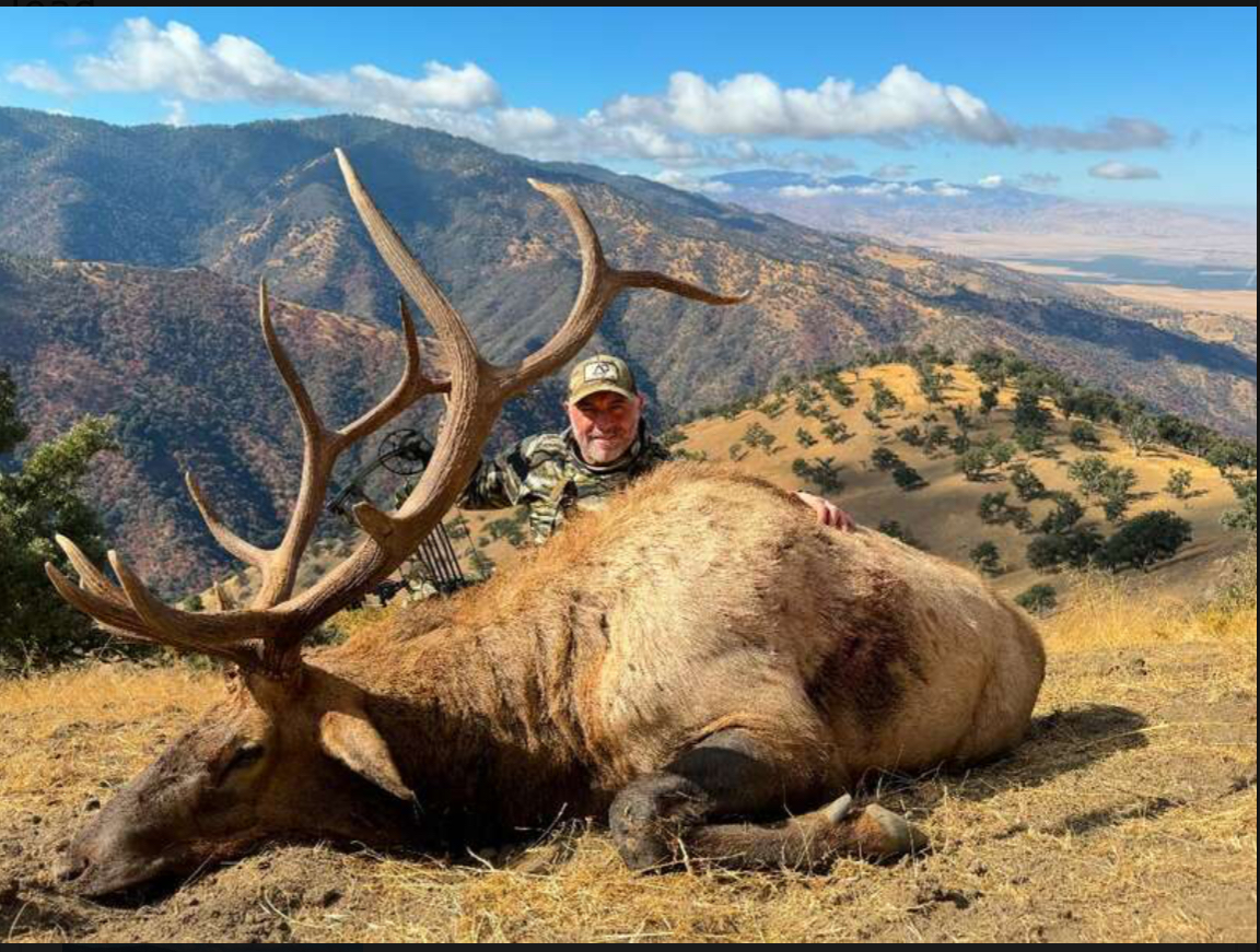 IMG 8446 — Postimages