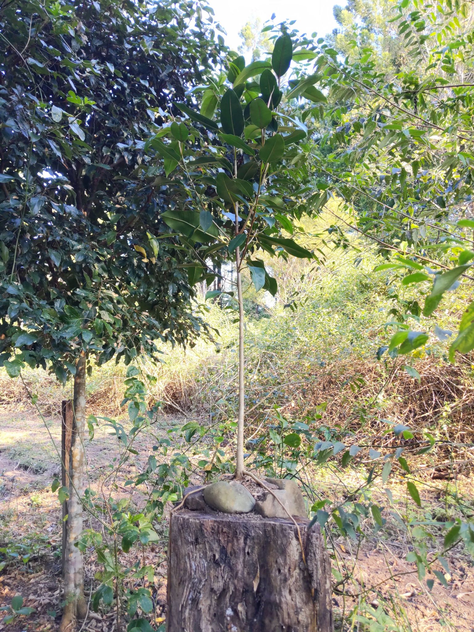 Imagepipe 1415 — Postimages