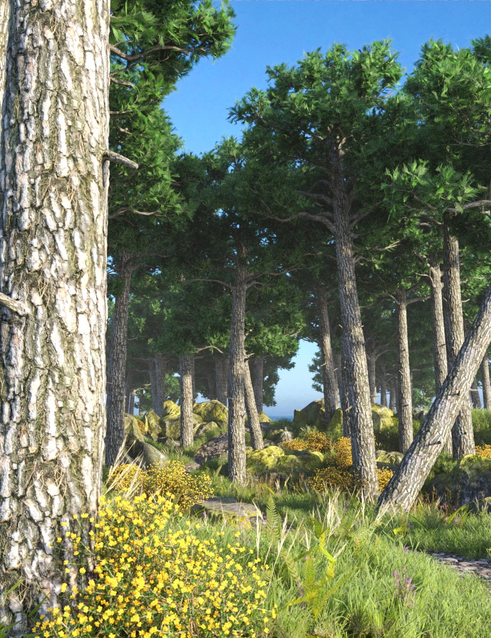 (FILLED 2023-06-12) Predatron Larch Trees - Free Daz 3D Models