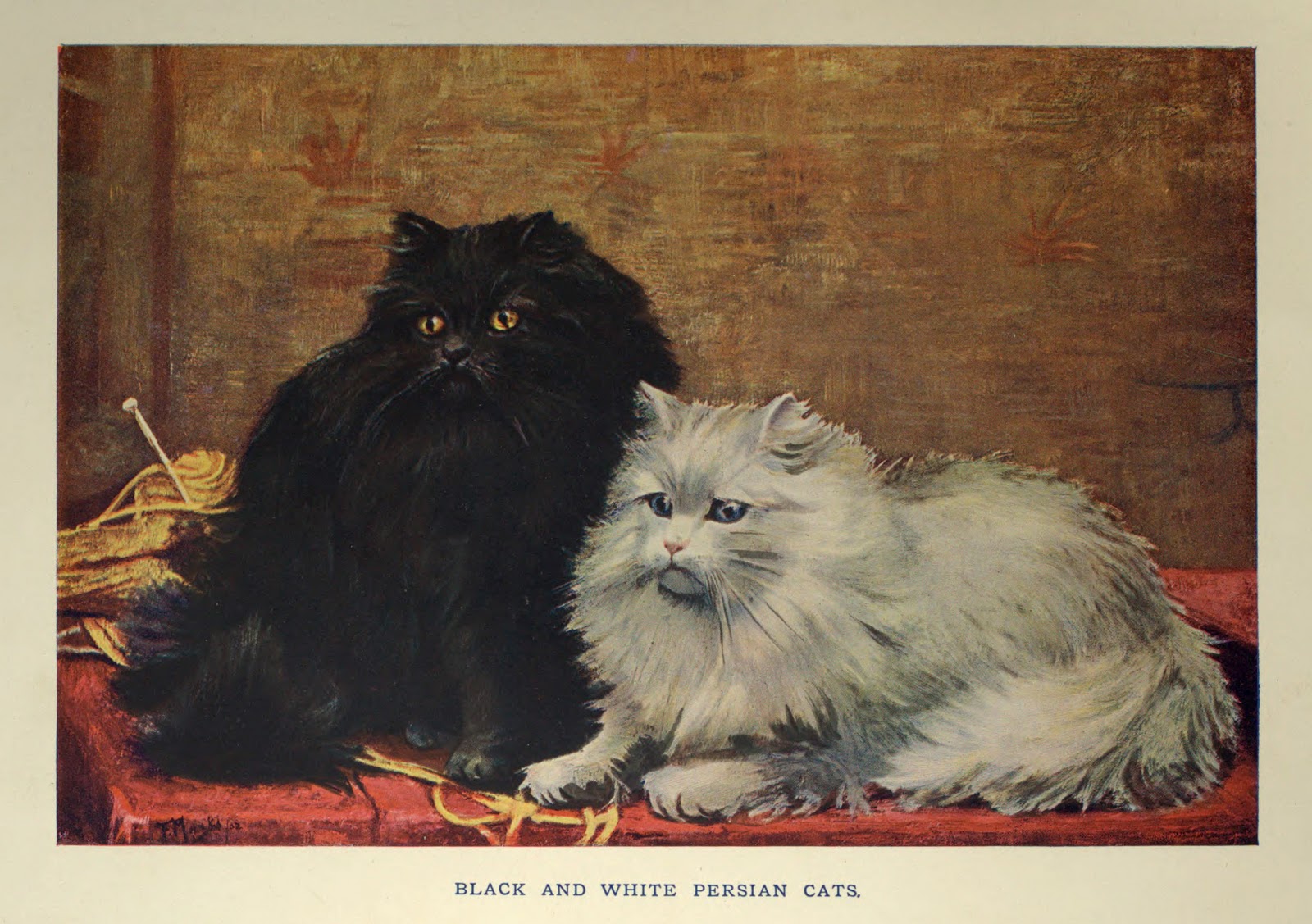 02 The book of the cat 03 — Postimages