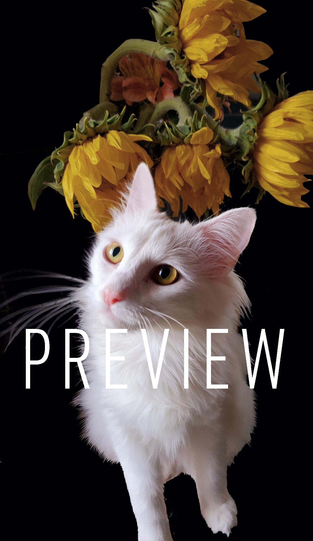 phiiuct4ilt81 new — Postimages