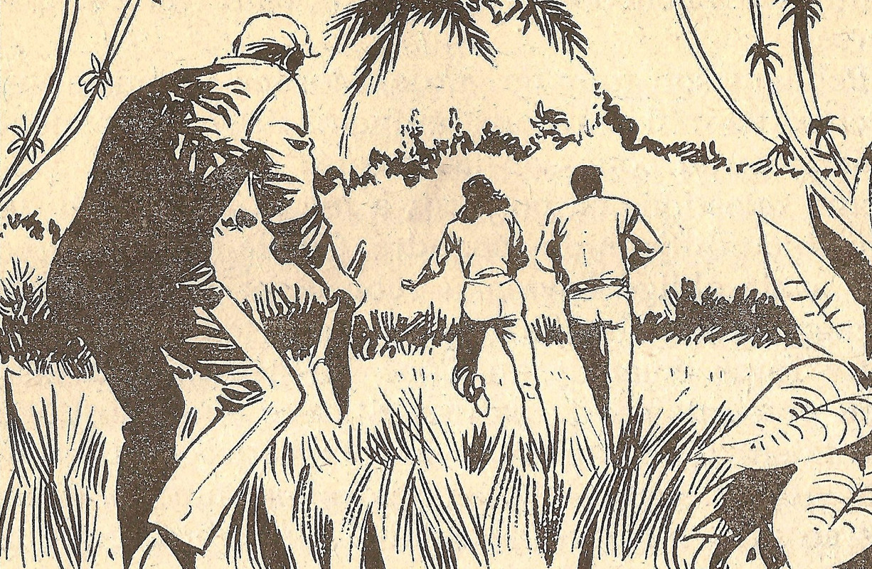 commando 037 — Postimages