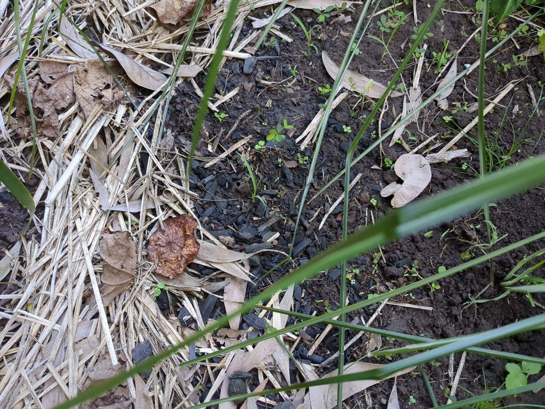 Imagepipe 4 — Postimages