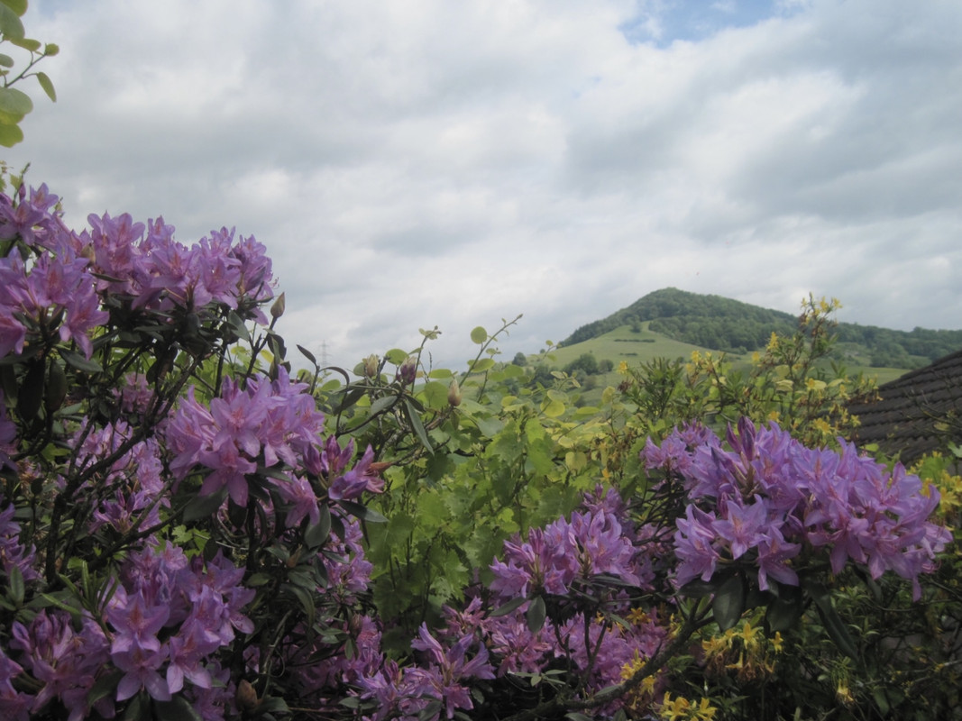 D2 E7 F984 A030 4 BE6 BCD1 FC1 B948 B5 EA2 — Postimages