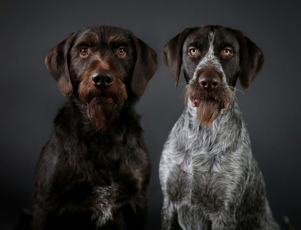 IB4 A9887 Bewerkt 01 — Postimages