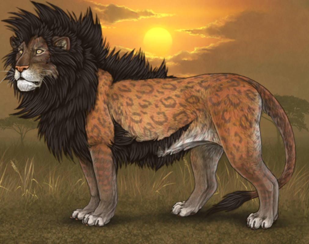 3954 A49 C D38 E 4259 B836 F3 C0 CC038 F47 — Postimages