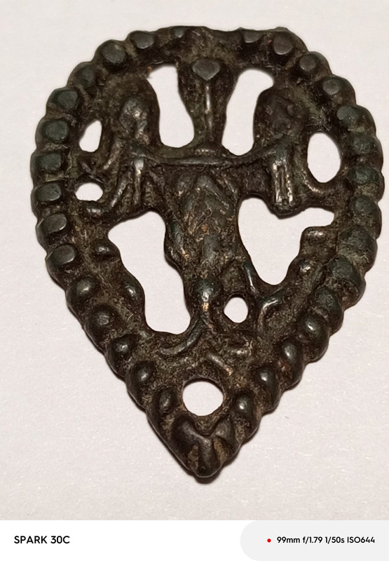 IMG 20250205 073451 107[1] — Postimages