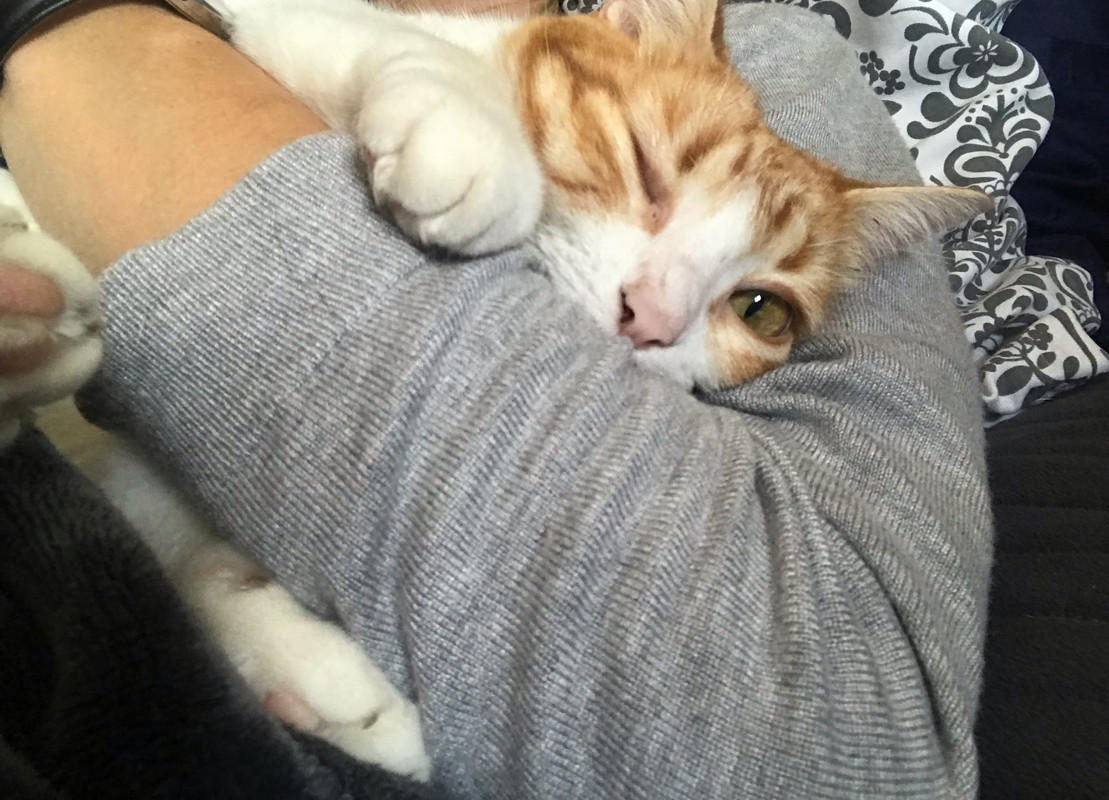 6 ED6 F995 499 E 4472 BF14 DA490 AD713 A3 — Postimages