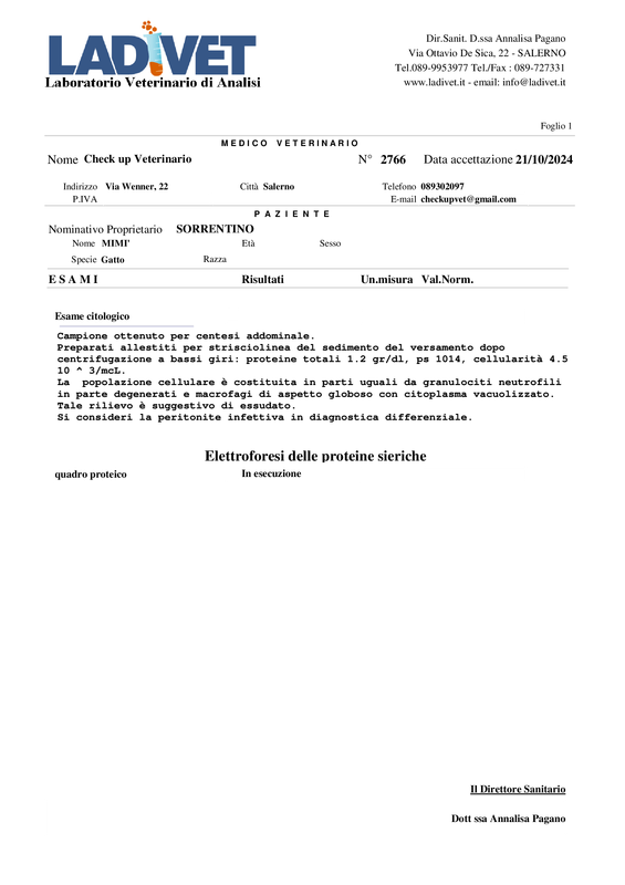 SORRENTINO MIMI' 22 10 2024 — Postimages