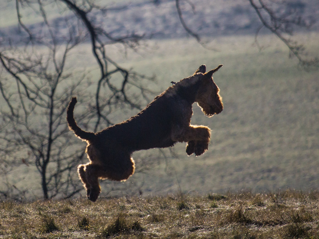 20240111 1152 IMG 2215 — Postimages