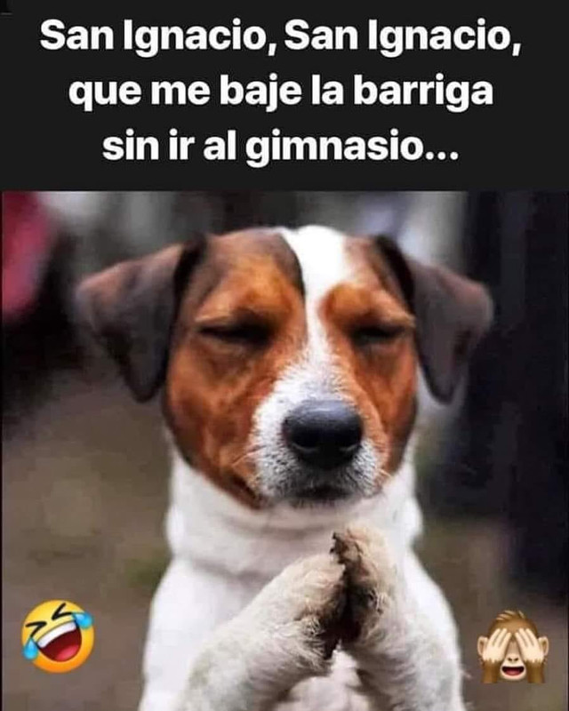 SAN IGNACIO......._________________