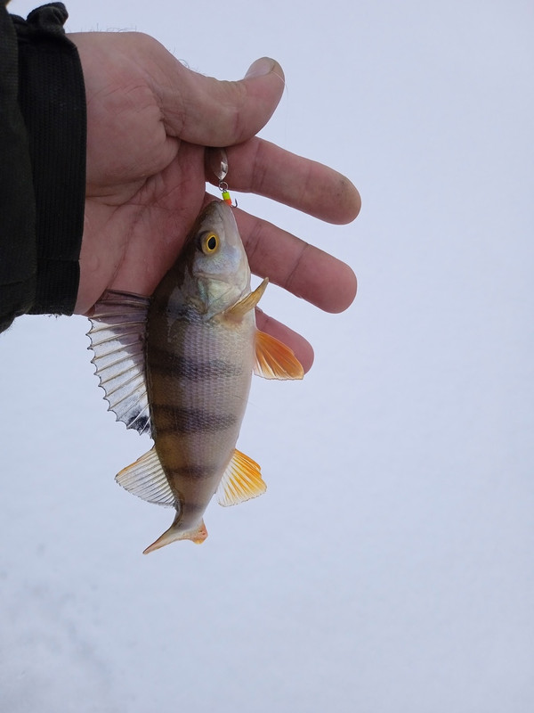 CP y7g Dh WU — Postimages