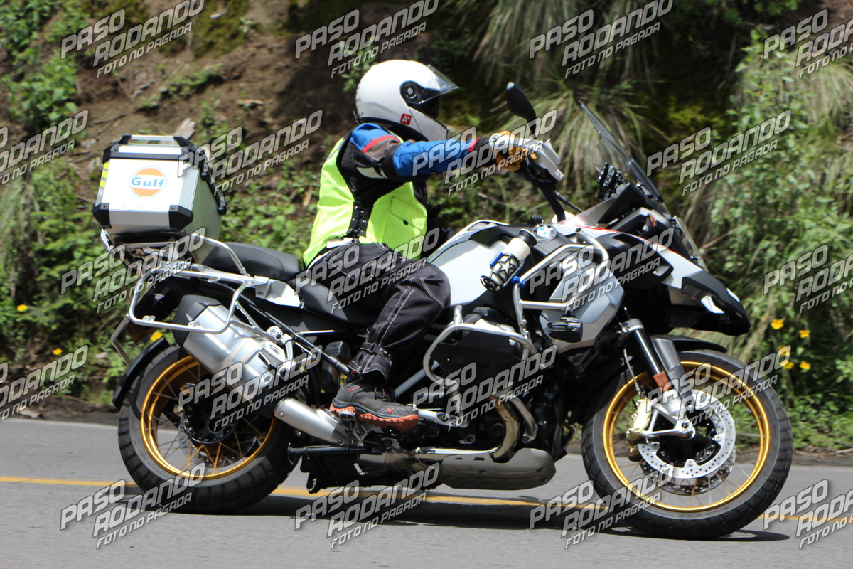 IMG 4181 wm 4326709 3 watermarked — Postimages