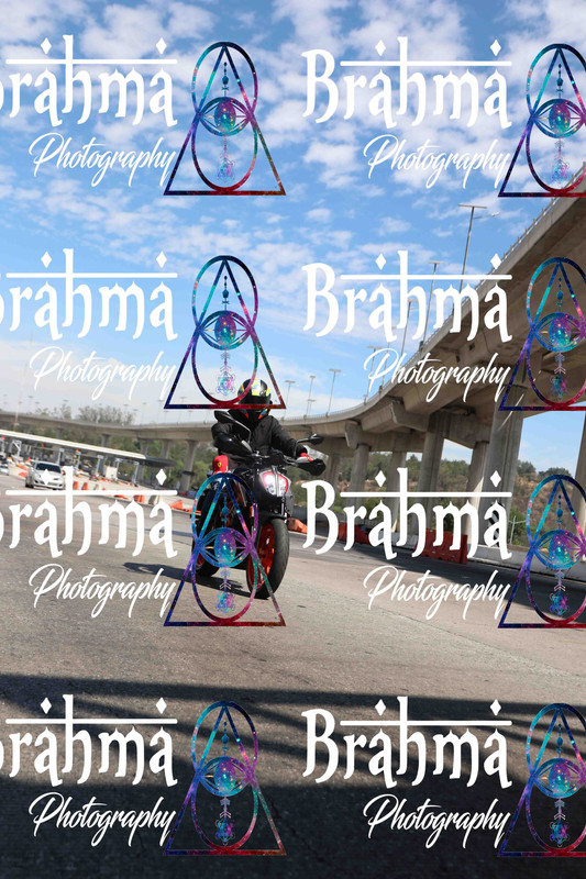 IMG 1842 — Postimages