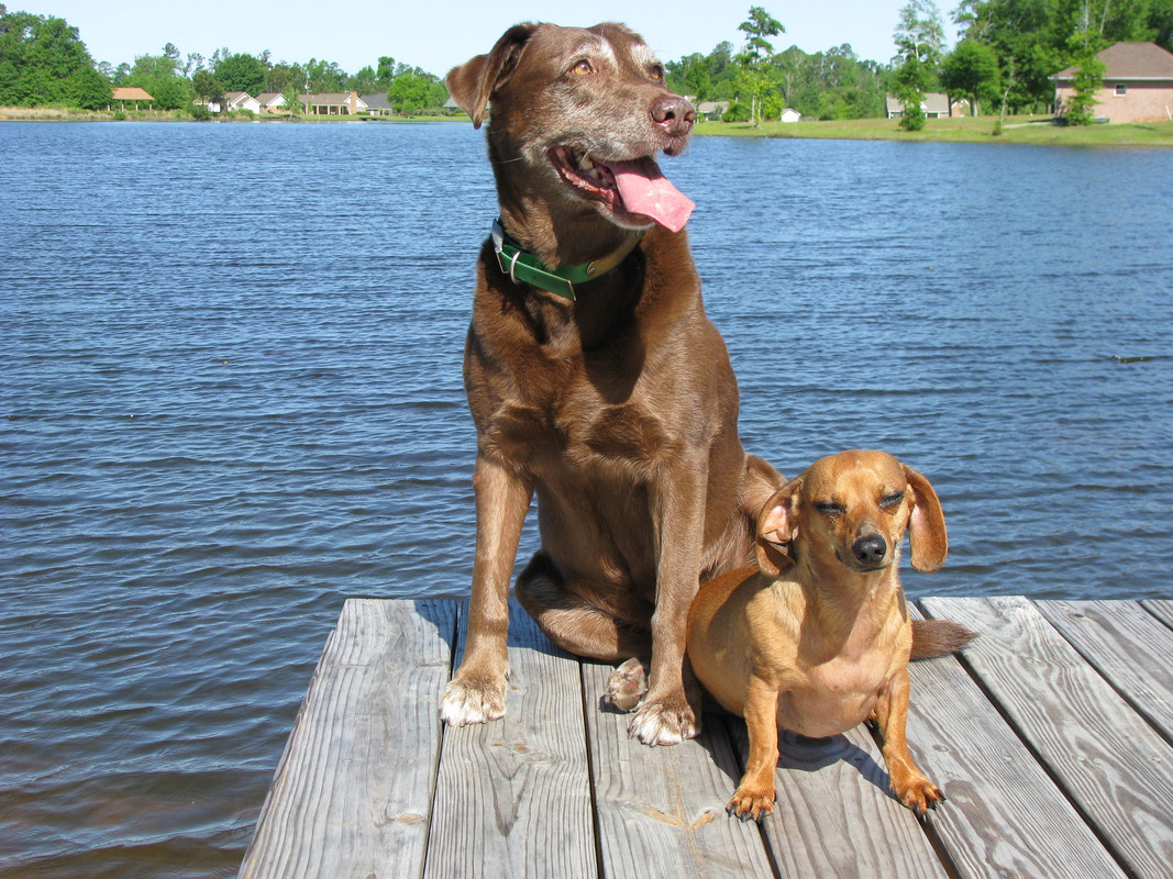 ab44dcf5 466b 4fba b336 1a18d91d793c — Postimages