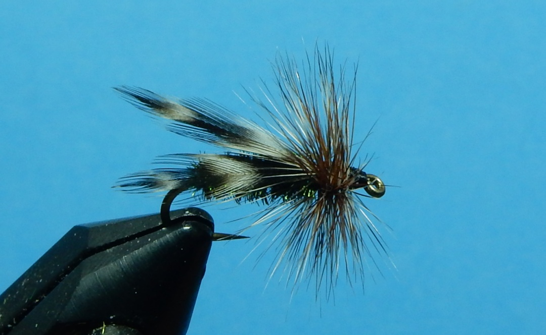 Deer Fly - Fly Tying - Maine Fly Fish