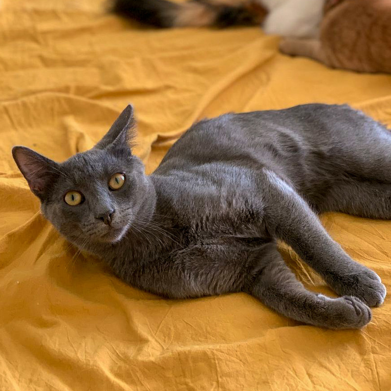 624 B0 ABE 83 AE 4753 9 D41 E62 A1 AA7 B8 E5 — Postimages