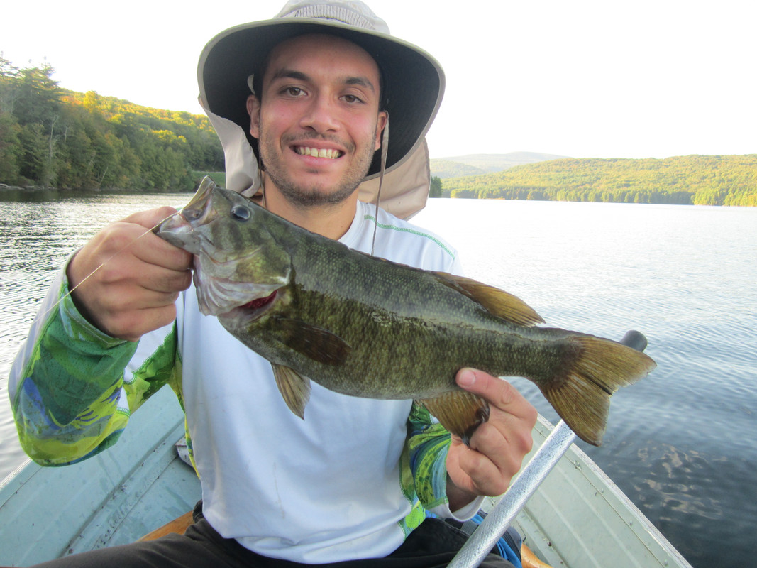 IMG 0414 — Postimages