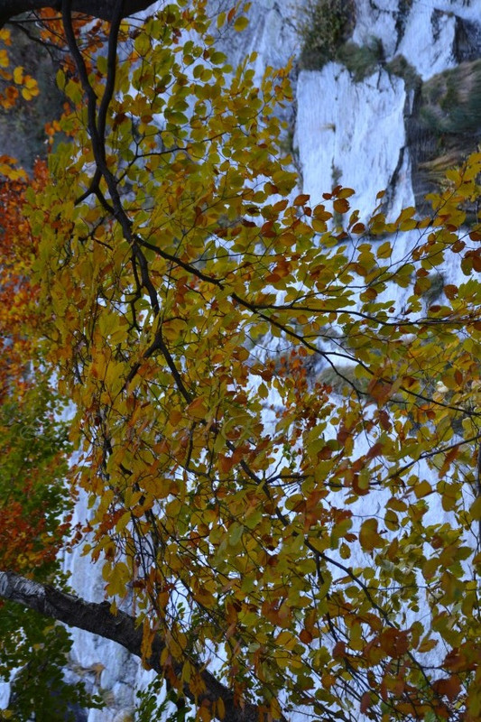 DSC 0669 — Postimages