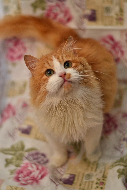 DSC 0144 — Postimages