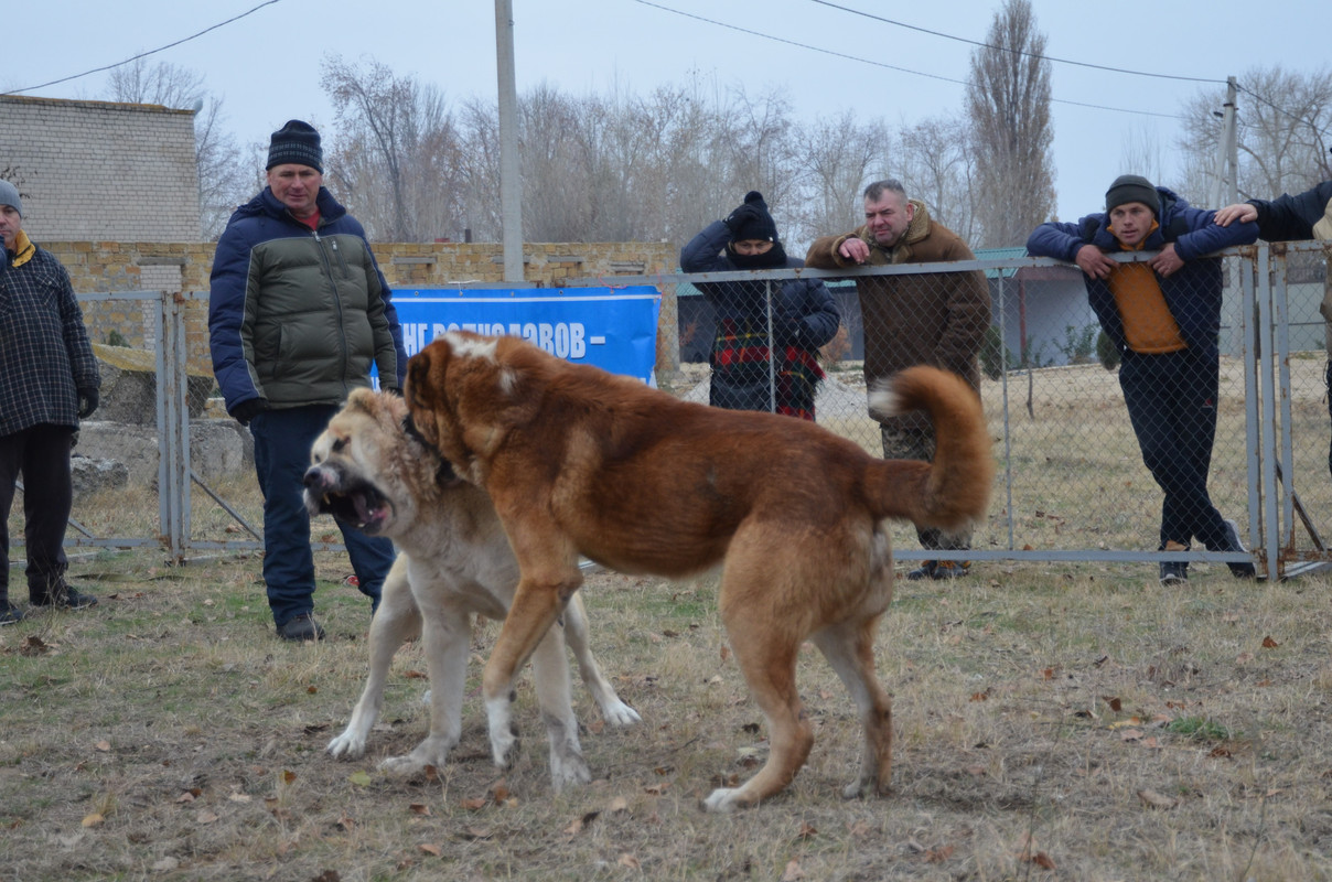 DSC 0366 — Postimages