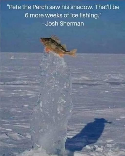 Perch Shadow Day — Postimages