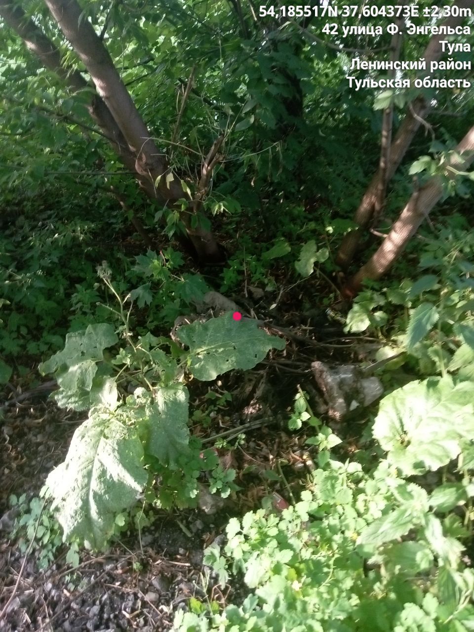 IMG 1258 — Postimages