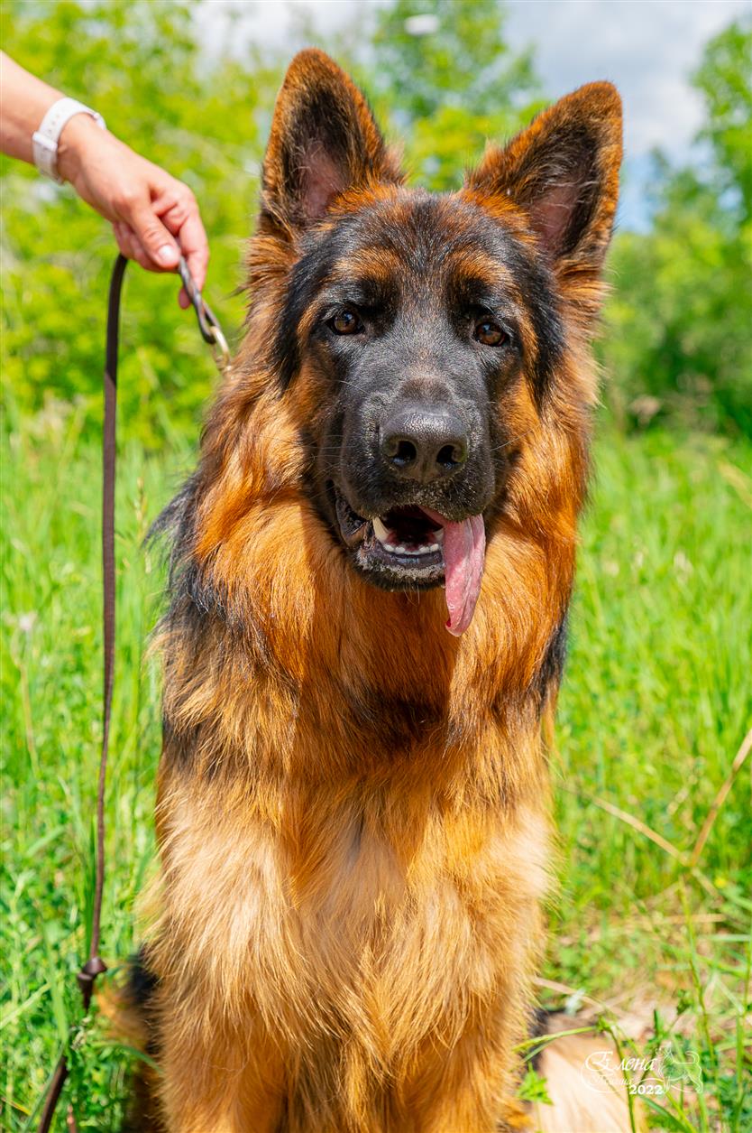 AFT 5388 — Postimages