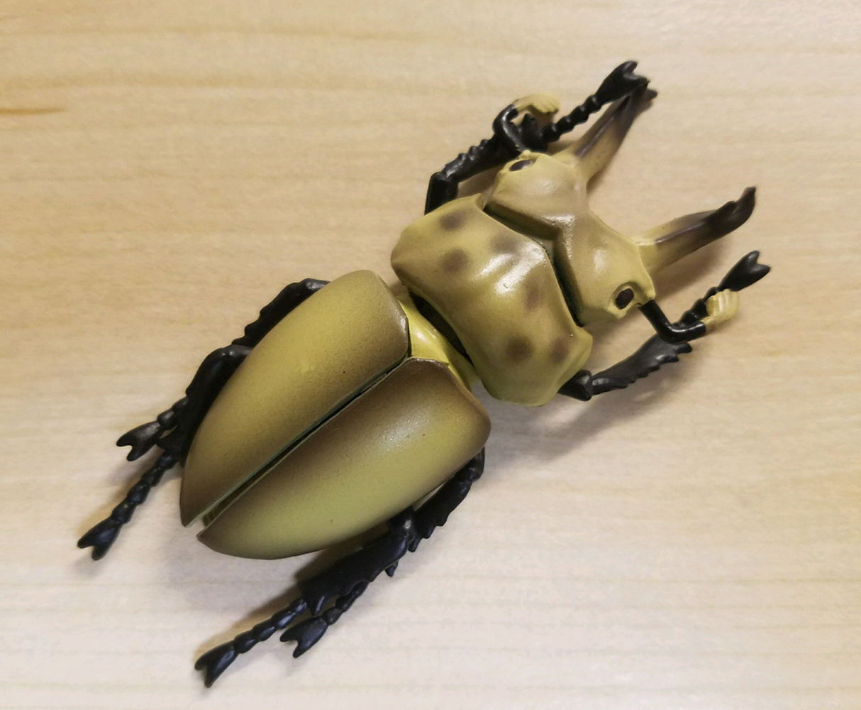 All moellenkampi2 — Postimages