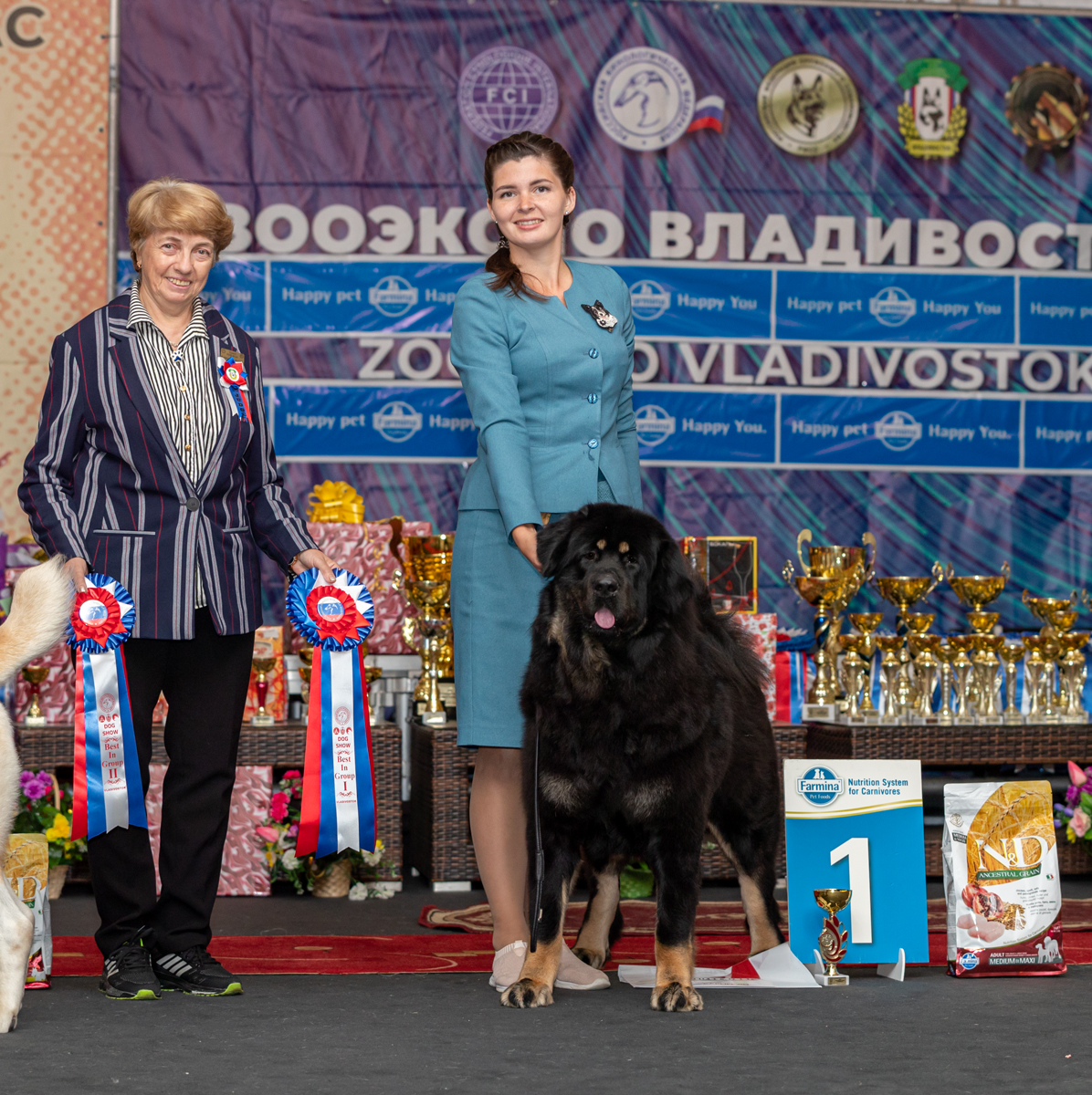 01 3732 — Postimages