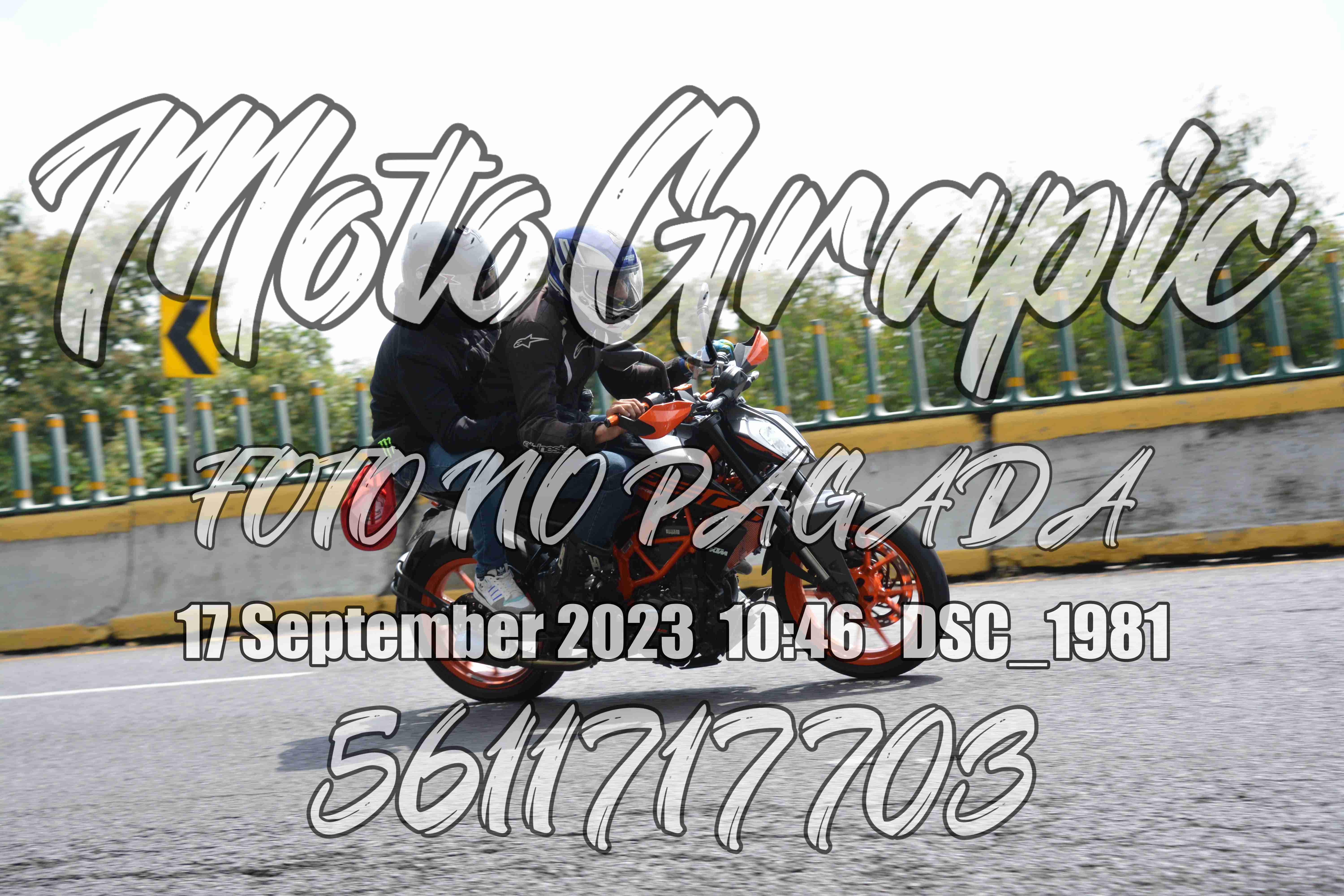 motgr DSC 1981 — Postimages