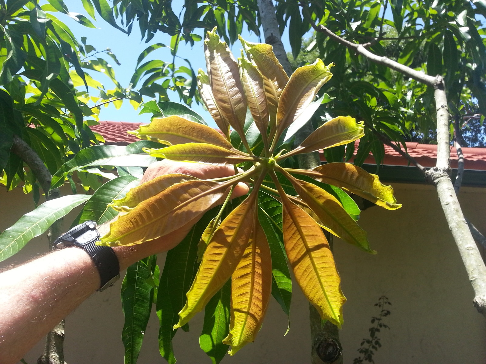 Dot 2 — Postimages