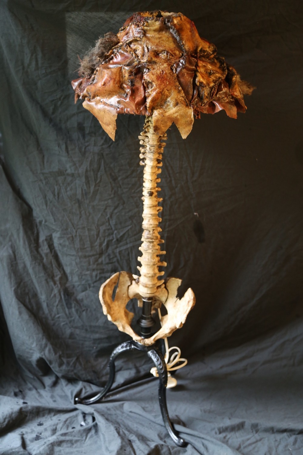 Sb Y7 N7i OYEI — Postimages