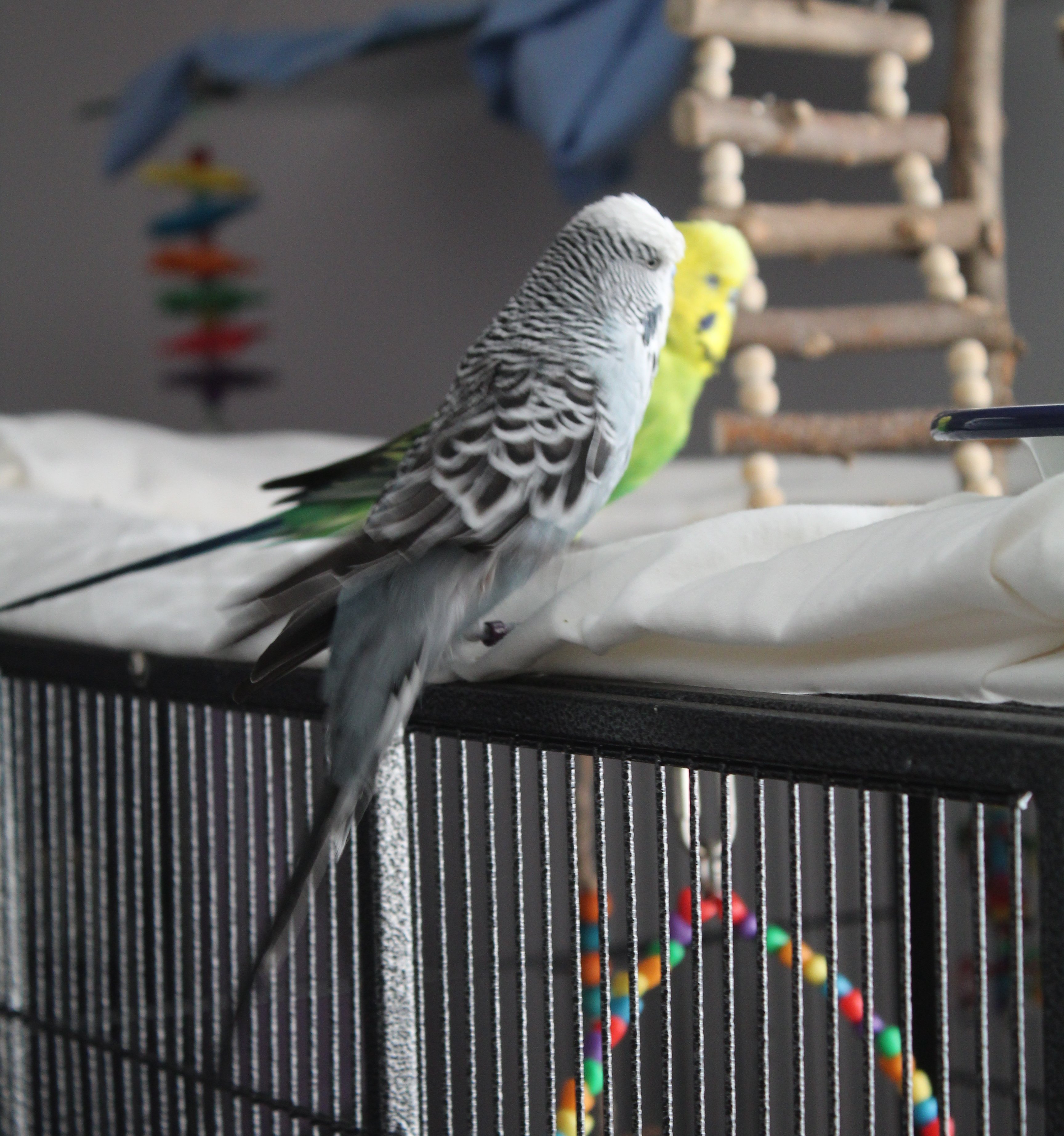 20231008164522 img 1238 — Postimages