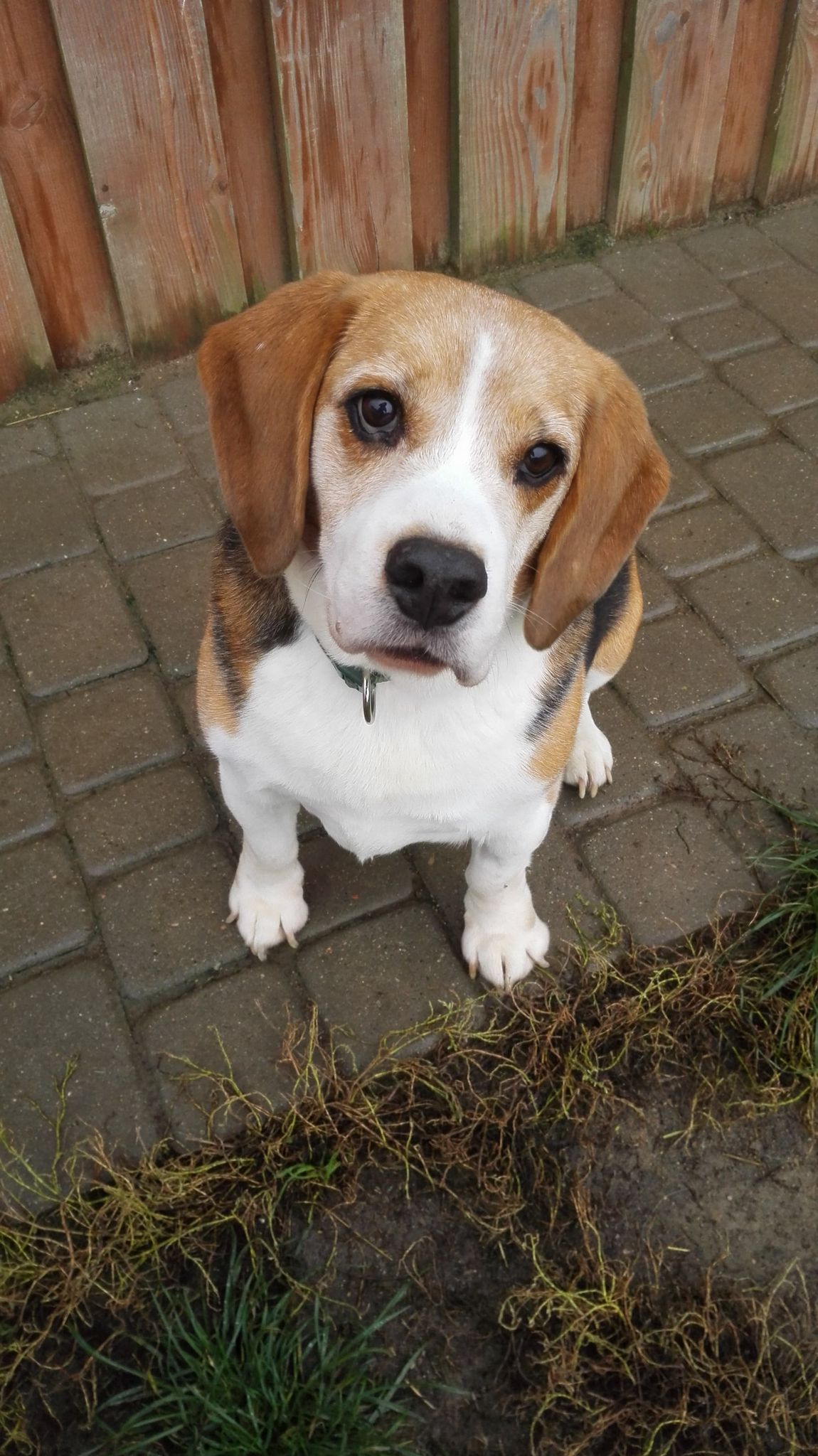 Reks 3 — Postimages