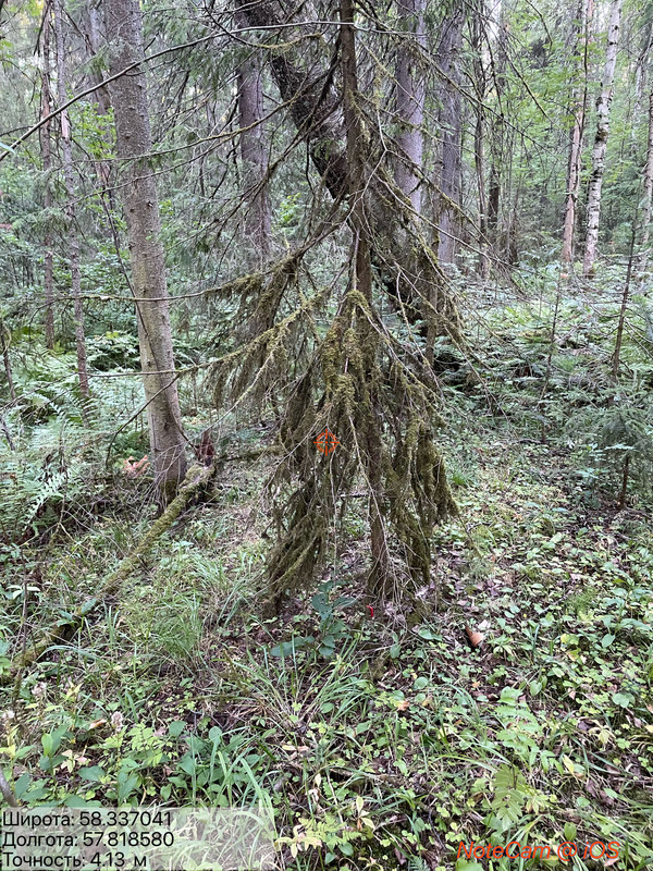 IMG 2885 — Postimages