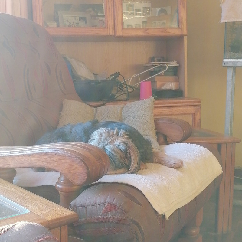 IMG 20210608 163212 476 — Postimages