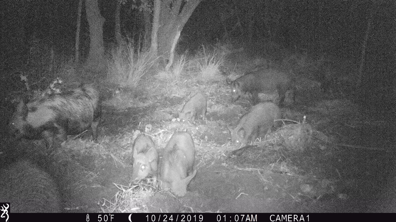 IMG 0690 — Postimages