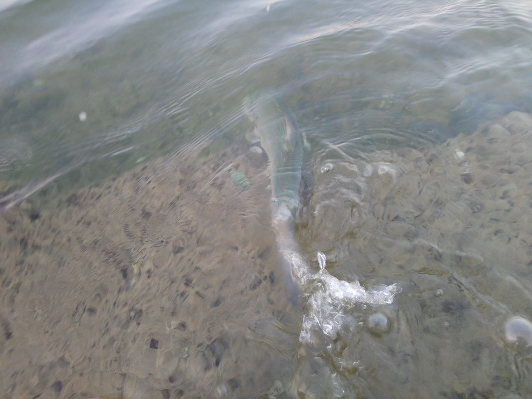 DSC 1160 — Postimages