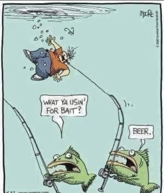 IMG 3442 — Postimages