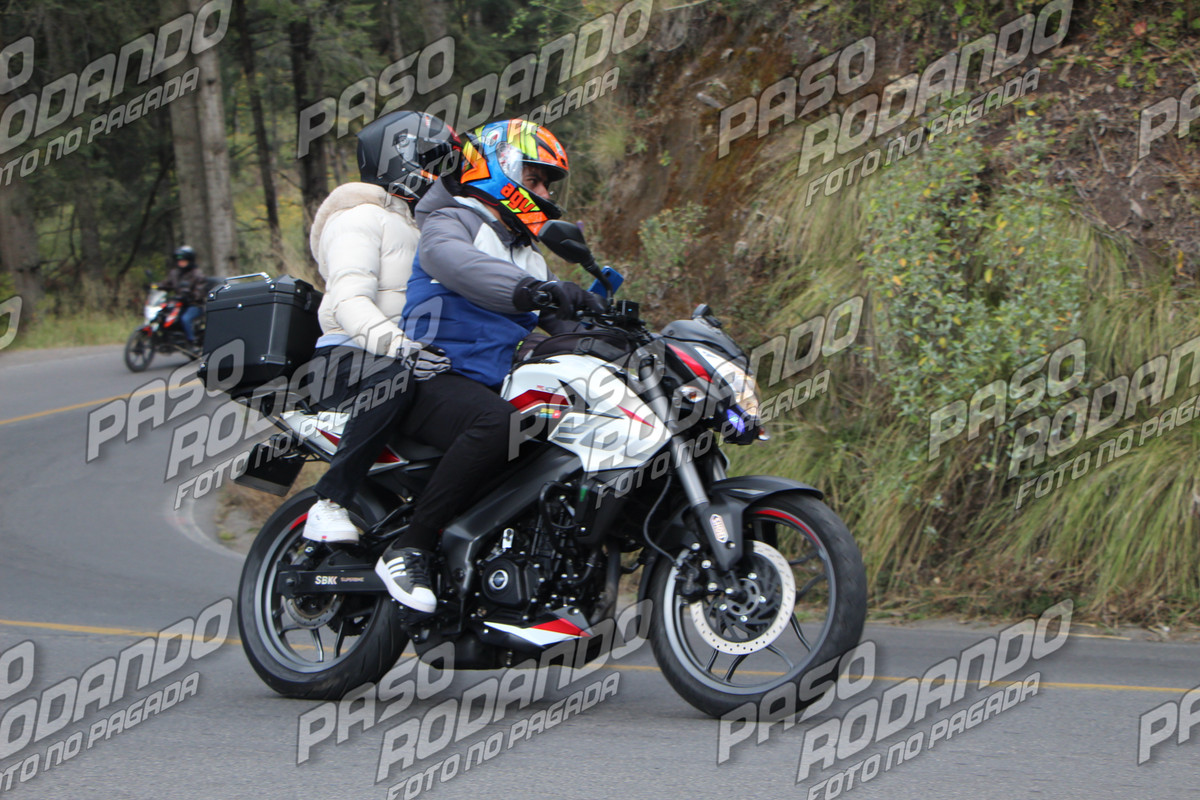 IMG 8278 — Postimages