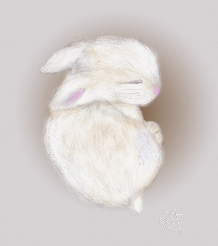 Bunny Kit — Postimages