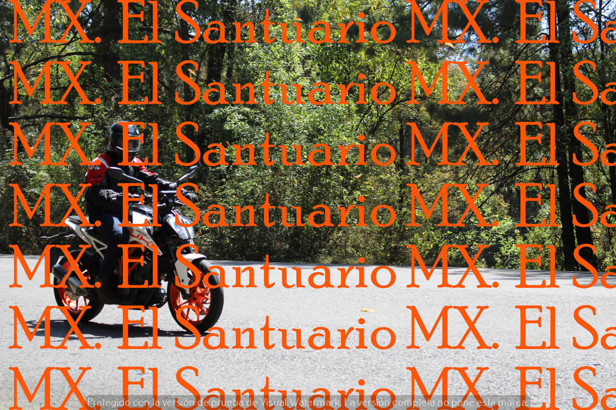 IMG 0709 — Postimages