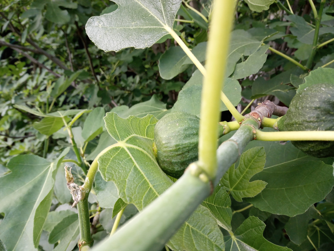 IMG 20230614 160728 750 — Postimages