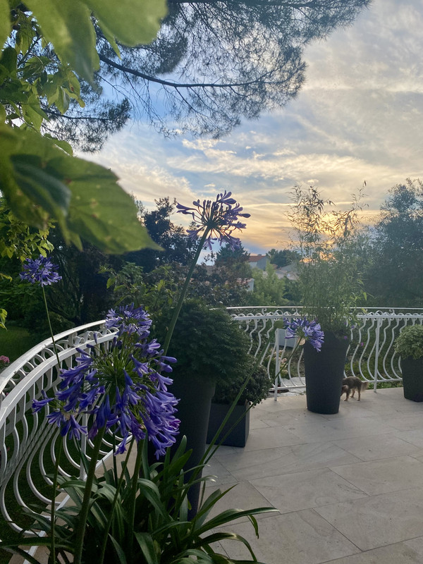 38 C4 BD33 9727 4 B68 B081 887 FECFF8 EDC — Postimages