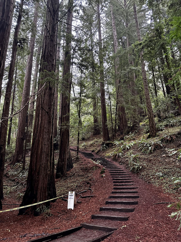 IMG 4716 — Postimages