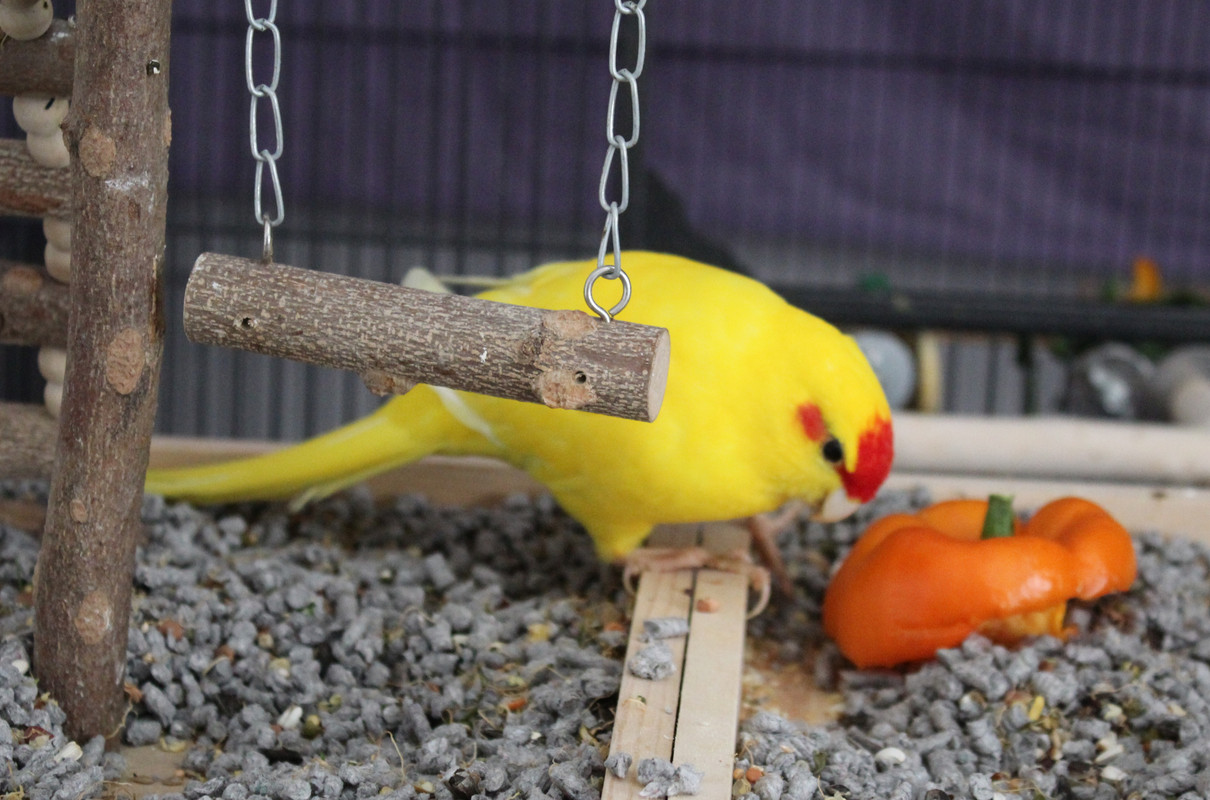 20230725184204 IMG 0634 — Postimages