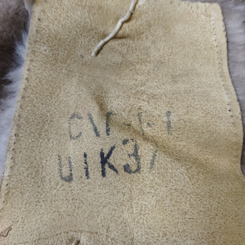 IMG 20231011 104451 — Postimages