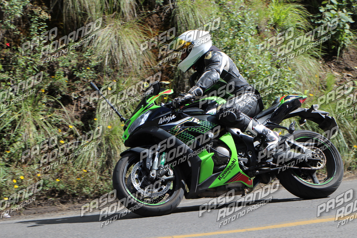 IMG 4036 wm 72174 30000000028 watermarked — Postimages